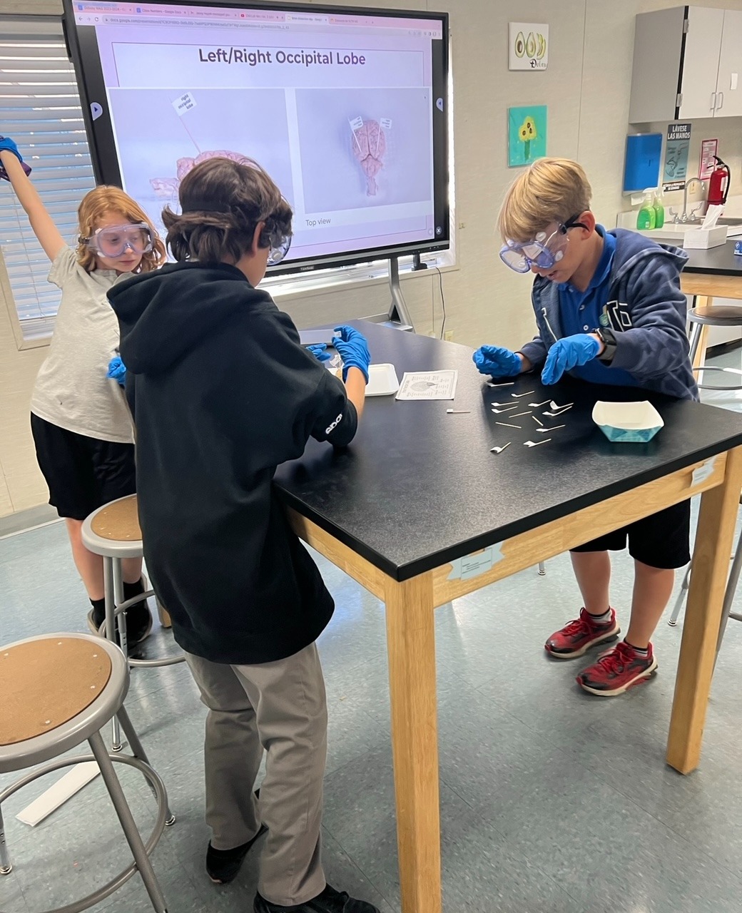 OCASA | Top STEAM Charter School in California | Tuition-Free School